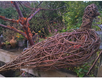 Garden & Nursery - Beth Chatto's Plants & Gardens