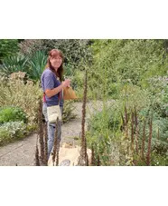 Seed Collecting with Emily Allard - Beth Chatto's Plants & Gardens